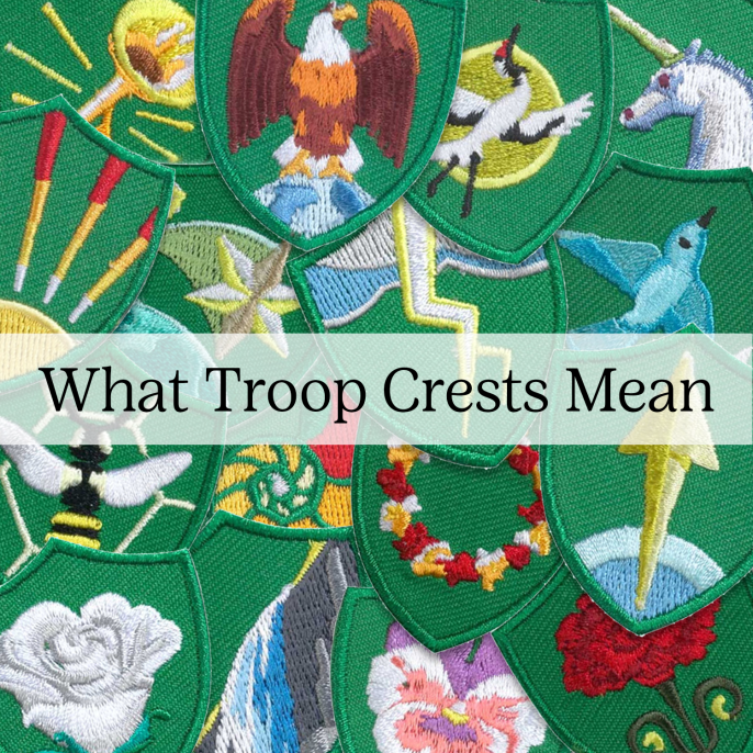 Girl Scouts of Greater Chicago and Northwest Indiana | Shop Resources ...