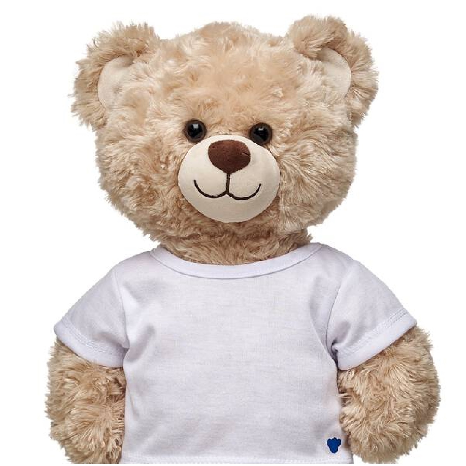 Girl Scouts of Greater Chicago and Northwest Indiana | Build A Bear ...