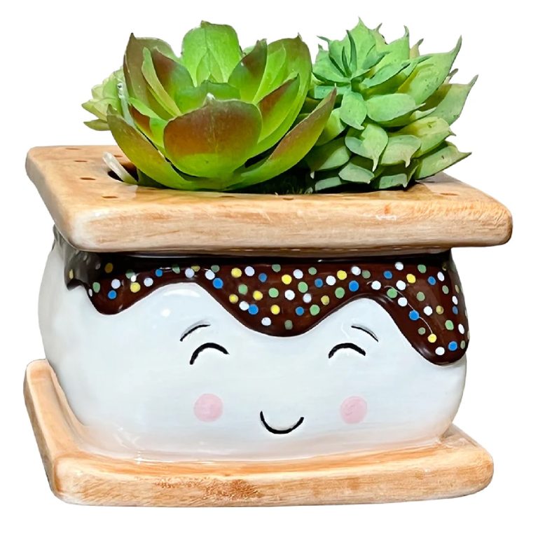 Girl Scouts of Greater Chicago and Northwest Indiana | S'mores Planter ...