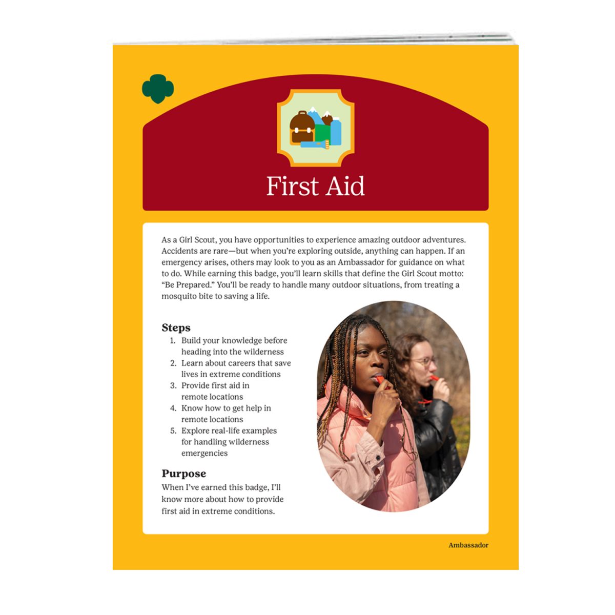 Girl Scouts of Greater Chicago and Northwest Indiana | First Aid ...