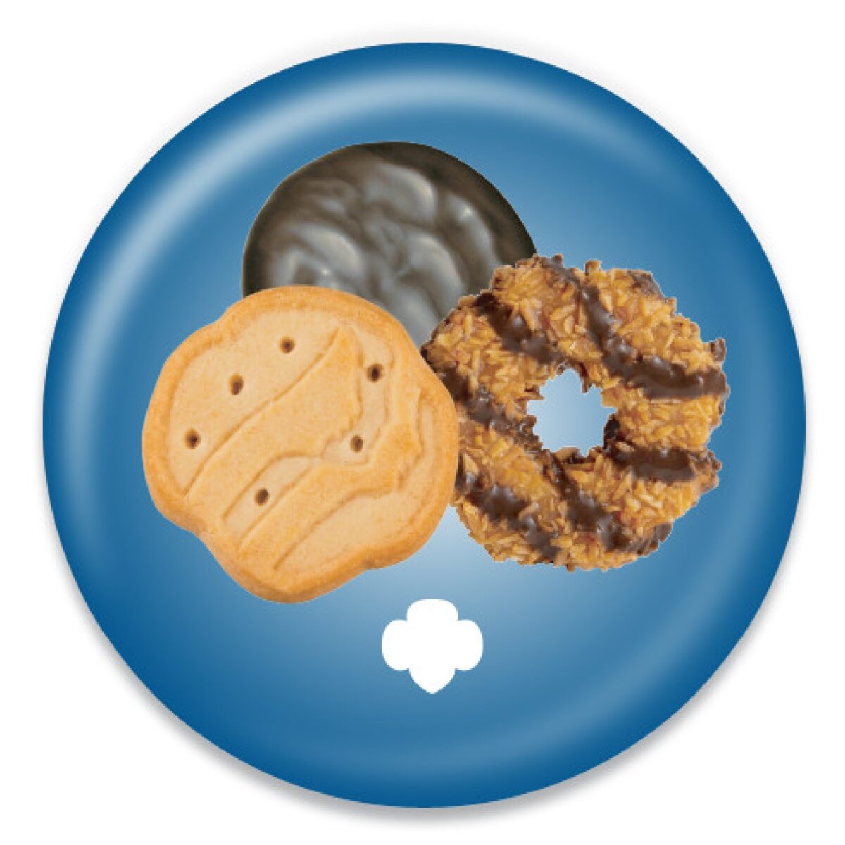 Girl Scouts of Greater Chicago and Northwest Indiana | Chatty Snaps ...