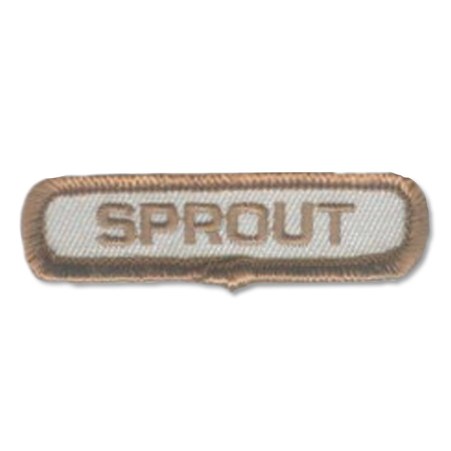 Girl Scouts of Greater Chicago and Northwest Indiana | Volunteer Led ...