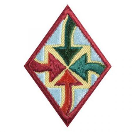 Girl Scouts of Greater Chicago and Northwest Indiana | Finding Common ...
