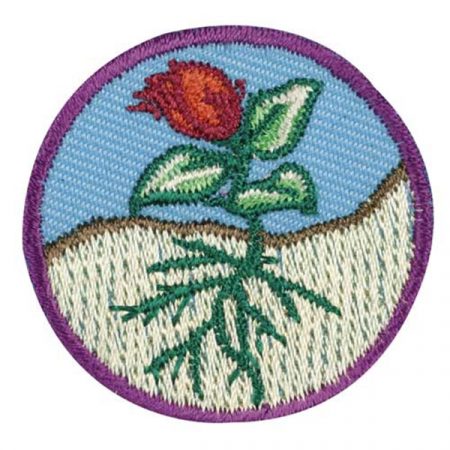 Girl Scouts of Greater Chicago and Northwest Indiana | Flowers Junior ...