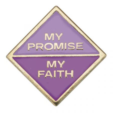 Girl Scouts of Greater Chicago and Northwest Indiana | My Promise My ...