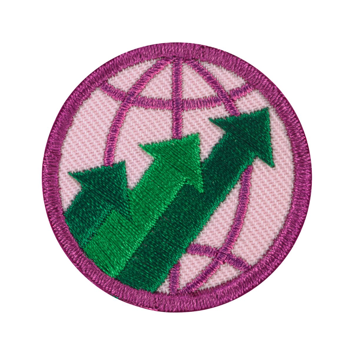 Girl Scouts of Greater Chicago and Northwest Indiana | Global Action ...