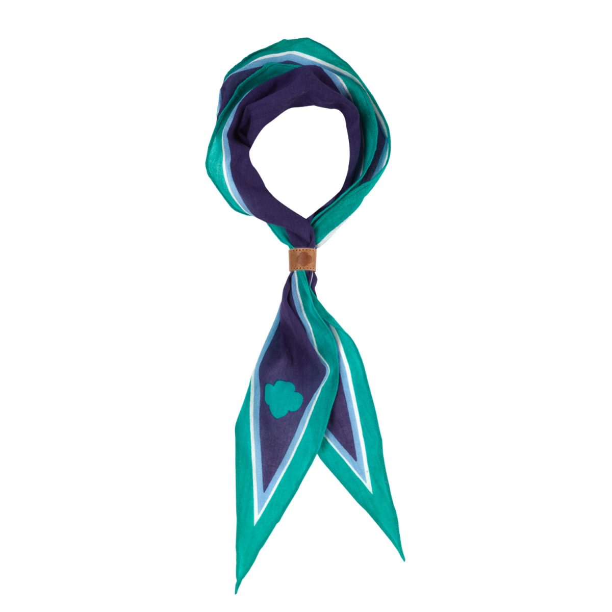 Girl Scouts of Greater Chicago and Northwest Indiana | Deluxe Junior ...