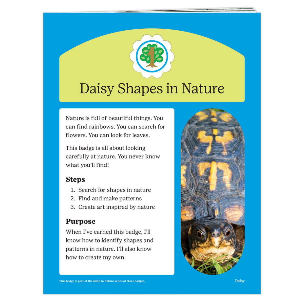 Girl Scouts of Greater Chicago and Northwest Indiana | Shapes in Nature ...